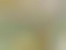 Engaging Impressionist Home Interiors : impressionist home