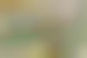 Engaging Impressionist Home Interiors : impressionist home