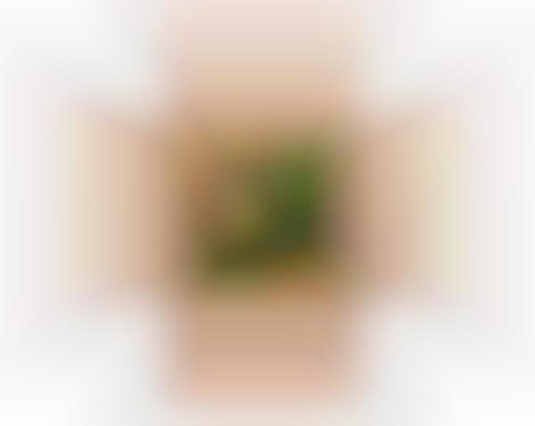 Eco Food Delivery Boxes : Food Delivery Box