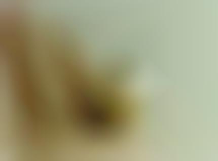 22 Precious Locket Designs