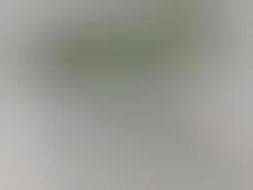 Mud-Powered Clocks: The Timeless Garden is Eco Friendly and Powered by ...