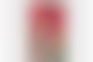 Tea for Kids: Little Citizens' Herb Teas for Children from the Republic ...