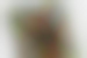 Stunning Papercraft Comic Books : papercraft comic book