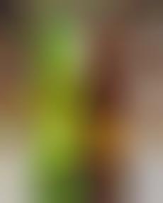 Dealcoholized Apple Ciders : soft cider