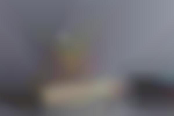 Nostalgic Video Game Shrines : video game shrine