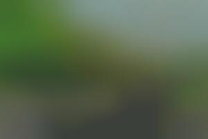 Connected Aquarium Computers : aquarium controller