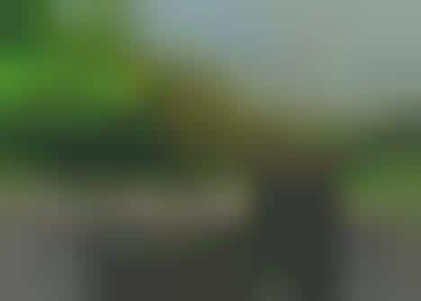 Connected Aquarium Computers : aquarium controller