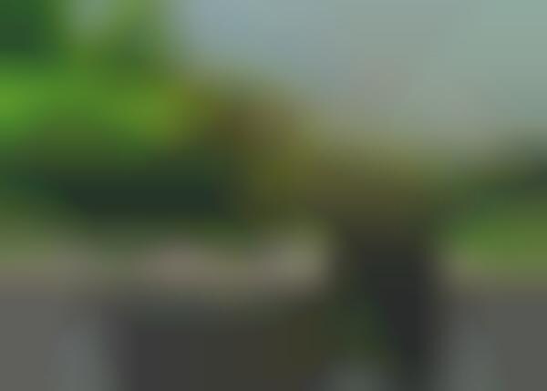 Connected Aquarium Computers : aquarium controller