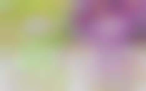 Dairy-Infused Child-Friendly Snacks : Imagine Snacks