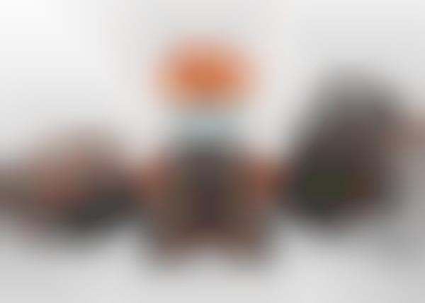 Educational DIY Robot Kits : MoonBot robot kit