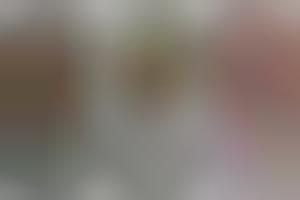 Social Media Polling Features : Election Day Snap Map