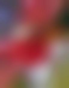 Red-Hot Cheese Curds : Flamin' Hot Cheetos Cheese Curds