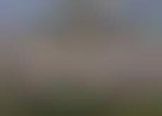 Communal Rural Market Layouts : rural market