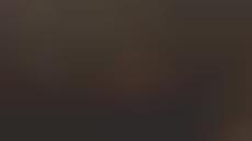 Plant-Based Butcher Stations : The Vegetable Butchery