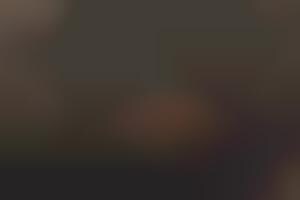 Plant-Based Butcher Stations : The Vegetable Butchery