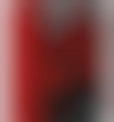 Secure Blockchain Mobile Phones : WISePhone