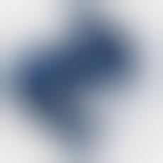 Smart Payable Wristwear : NXP SmartMX