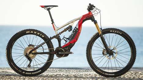 Electric-Assisted Mountain Bikes : MIG-RR