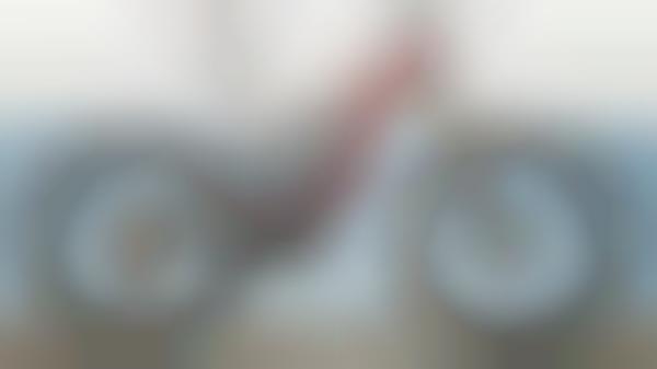 Electric-Assisted Mountain Bikes : MIG-RR