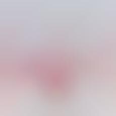 Powder Puff Blush Packaging : loose blush