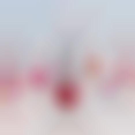 Powder Puff Blush Packaging : loose blush