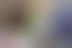 Chat-Based Smart Hotels : Chinese Smart Hotel