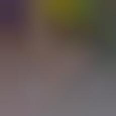 Thanksgiving Fun Run Promotions : Turkey Trot