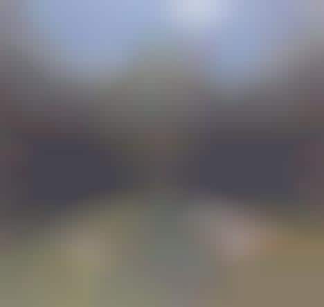 Beautiful Vegetative Circular Courtyards : circular courtyard