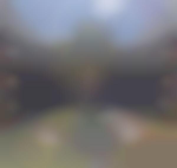 Beautiful Vegetative Circular Courtyards : circular courtyard