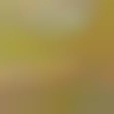 Beautiful Japanese Comic Campaigns : comic campaign