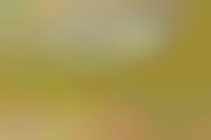 Beautiful Japanese Comic Campaigns : comic campaign