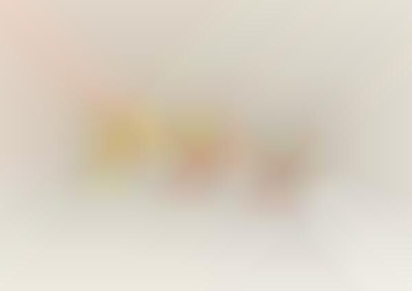 Premium Liquid Breakfasts : breakfast beverage