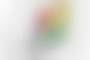 Frameless Productivity Laptops : Asus VivoBook