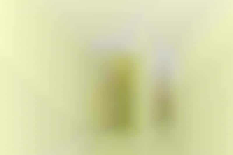 12 Probiotic Cosmetic Products