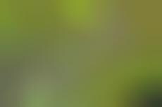 Precision Irrigation Garden Devices : Dripio