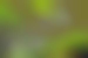 Precision Irrigation Garden Devices : Dripio