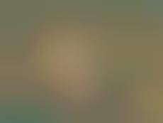 Multi-National Bank Accounts : multi-currency notional pooling