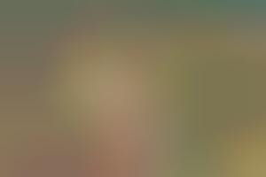 Multi-National Bank Accounts : multi-currency notional pooling