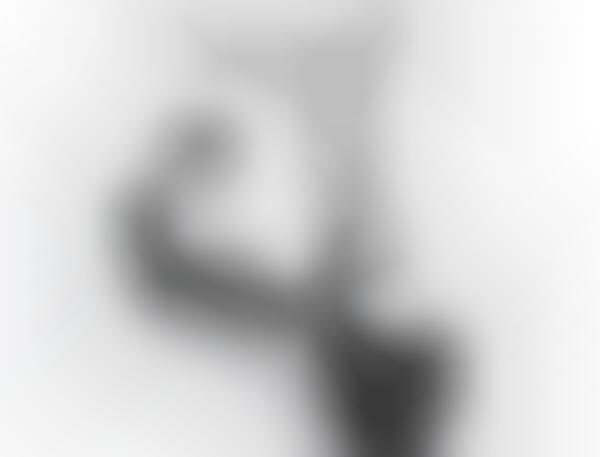 Intuitive Electric Scooters : Rolley Scooterson 2