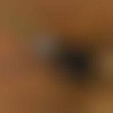 Rectangular EDC Flashlights : Angel Eyes E300S