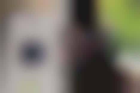 Sun-Powered Food Dehydrators : Aliz Dehydrator