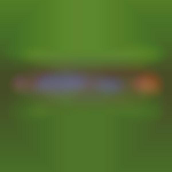 Yard-Long Candy Bars : by the yard