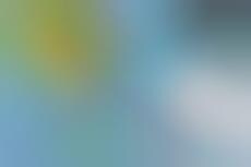 Connected Insect Farming Kits : Hive Explorer