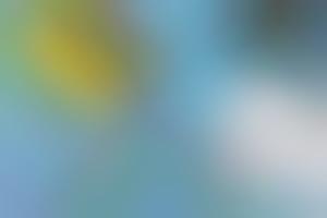 Connected Insect Farming Kits : Hive Explorer