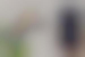 Interactive Avian Alarm Clocks : THE BIRD alarm clock