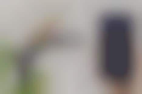 Interactive Avian Alarm Clocks : THE BIRD alarm clock