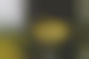 Biometric Car Rental Services : Fast Lane