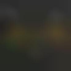 Dynamic Core-Toning Fitness Boards : Stealth Plankster Core Trainer