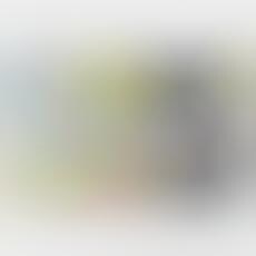 Generation-Specific Board Games : Monopoly for Millennials