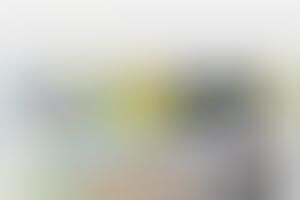 Generation-Specific Board Games : Monopoly for Millennials